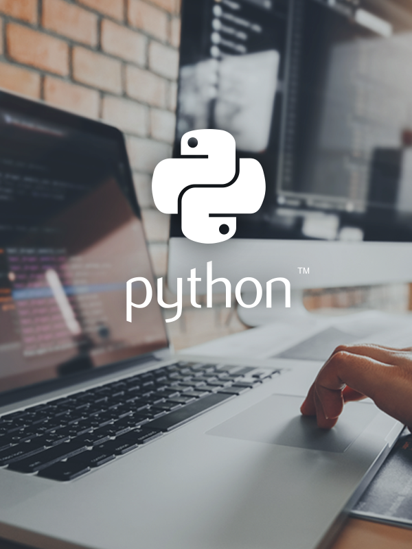 Everything You Need To Know About Python